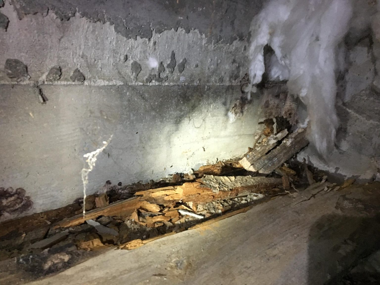 Inspect Regularly For Subterranean Termite Damage