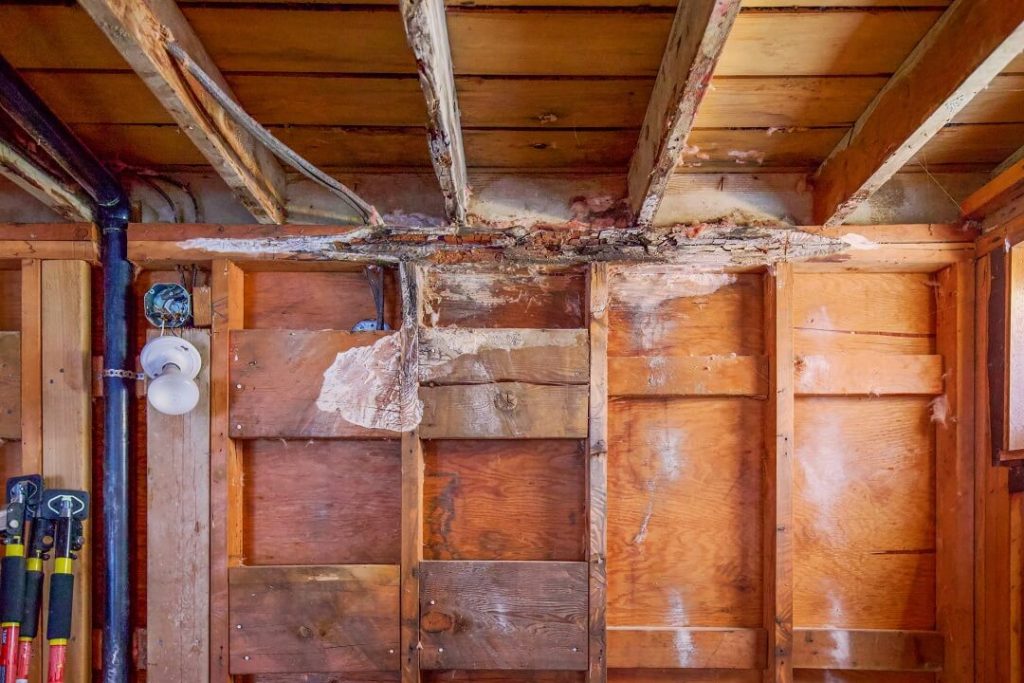 Wood Rot vs. Termite Damage: How to Tell the Difference